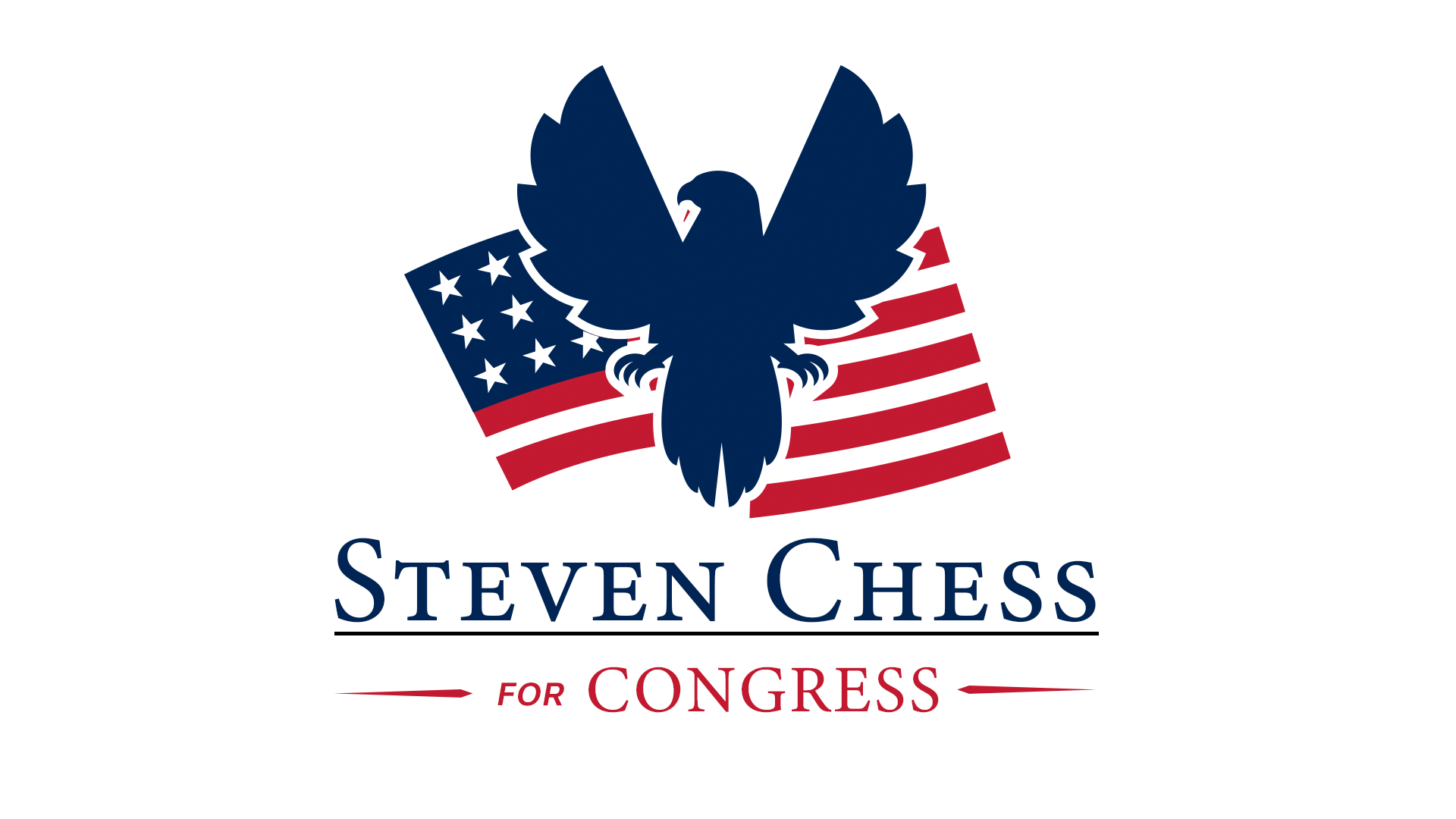 How to Vote - Steve Chess for Congress