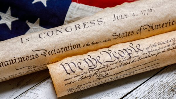 What Does Congress Do? - Best Understanding of their Role ⚖️